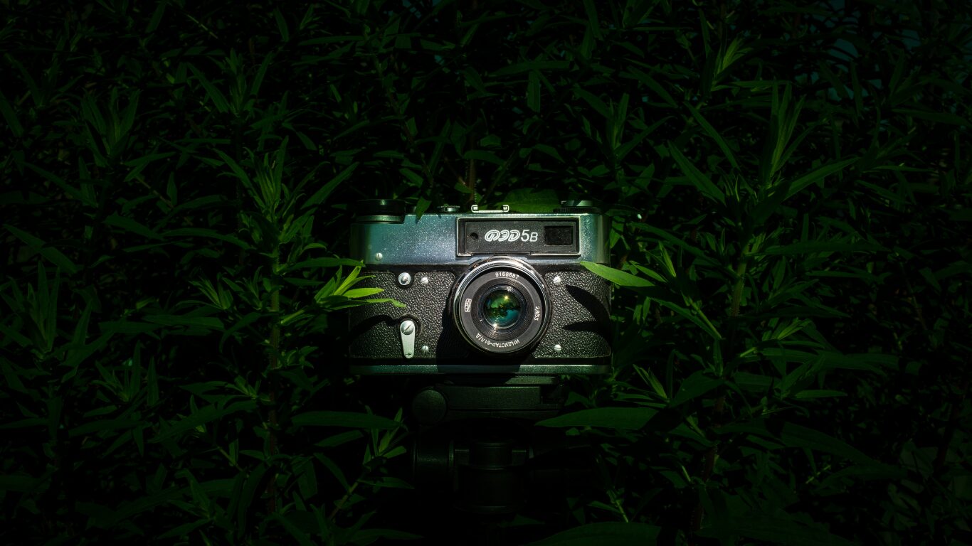 Canonピクチャースタイルおすすめ完全ガイド【2025年最新】 - Lens Chronicle