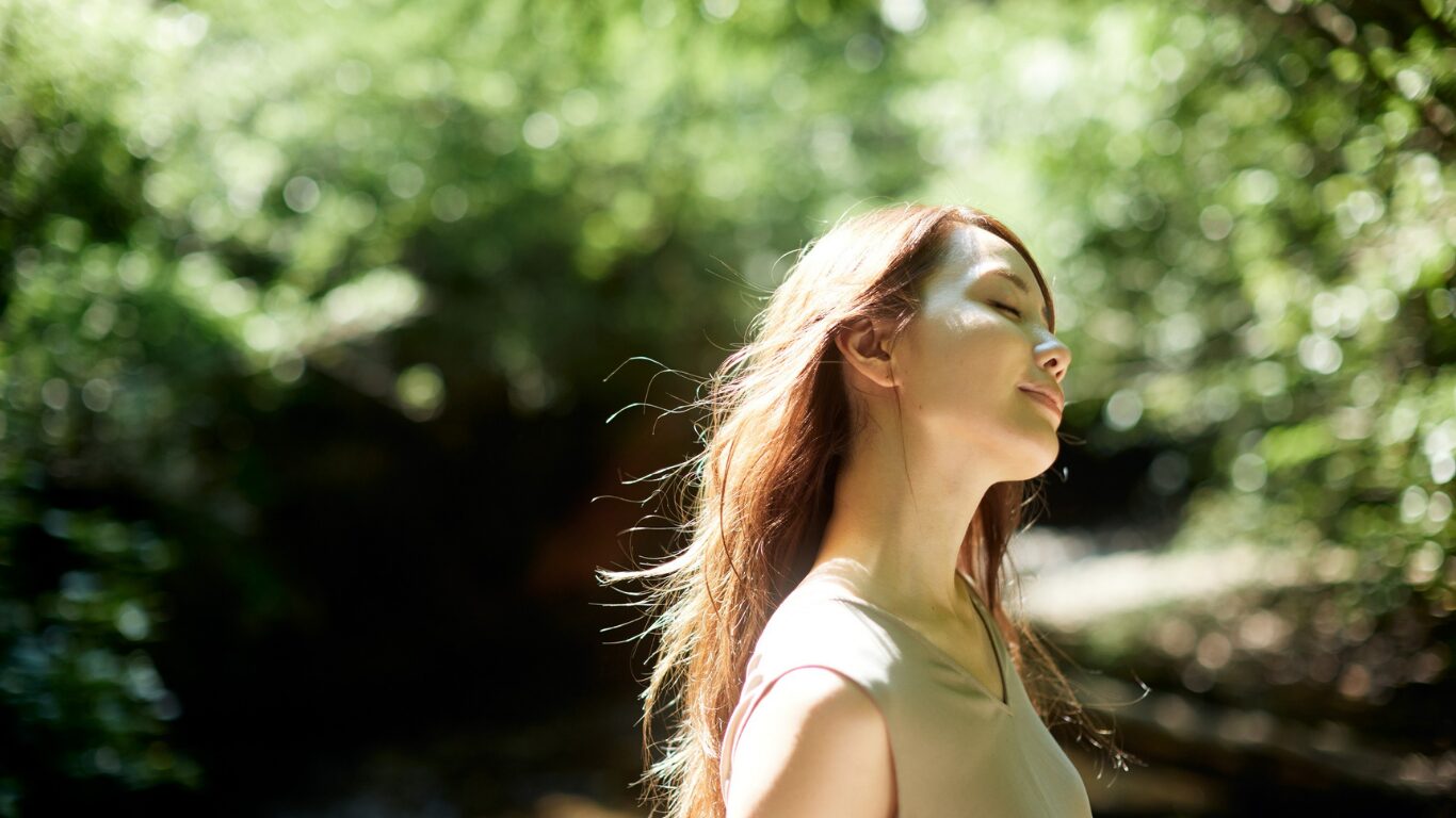 LUMIX FZ85後継機：FZ85Dを徹底レビュー - Lens Chronicle